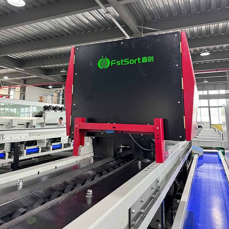Fstsort optical system helps Mexican tomato growers improve sorting efficiency